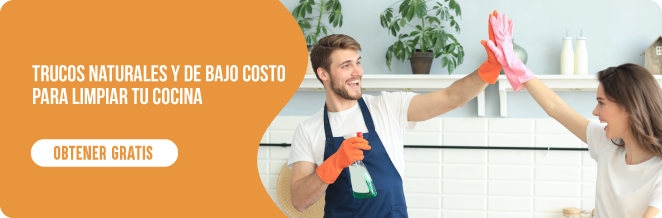 Gorgojo: lo que debes saber de este insecto de los alimentos