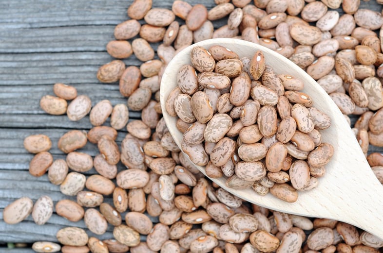 Conoce las 5 variedades de porotos en Chile