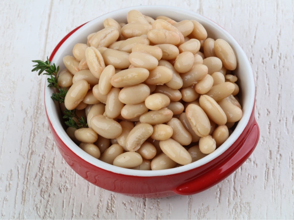 Conoce las 5 variedades de porotos en Chile