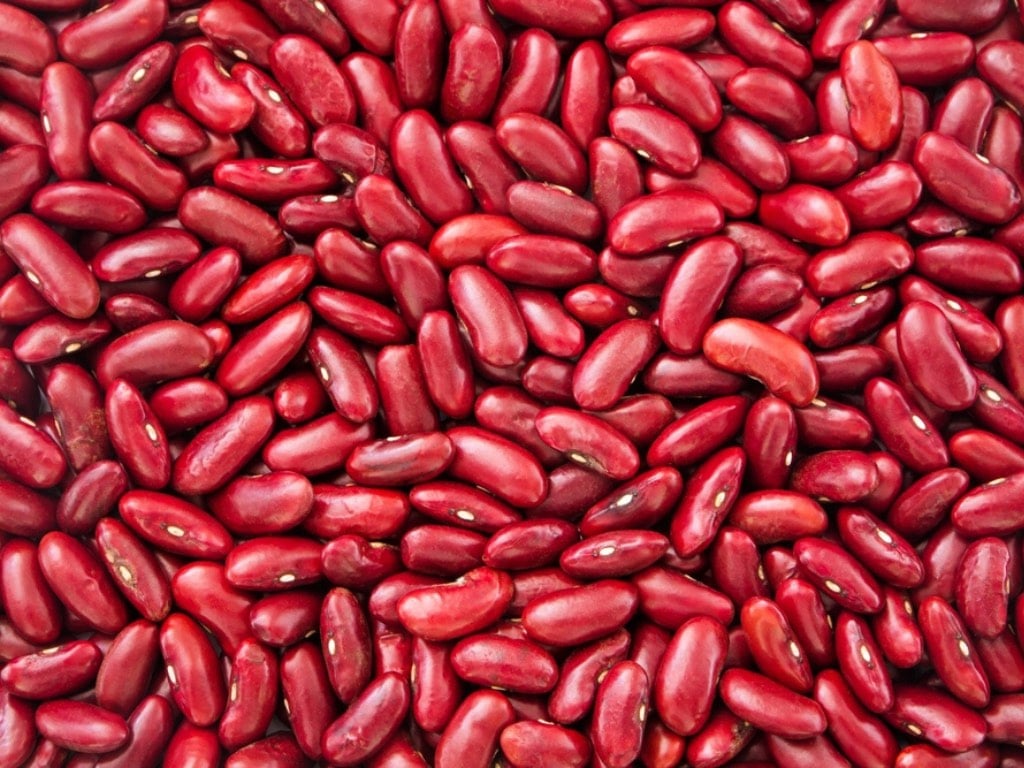 Conoce las 5 variedades de porotos en Chile