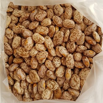 What type of beans do you usually eat in your country? : r/asklatinamerica